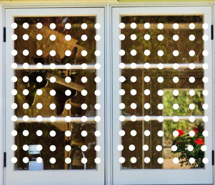 How to Stop Birds from Pecking or Flying Into Windows