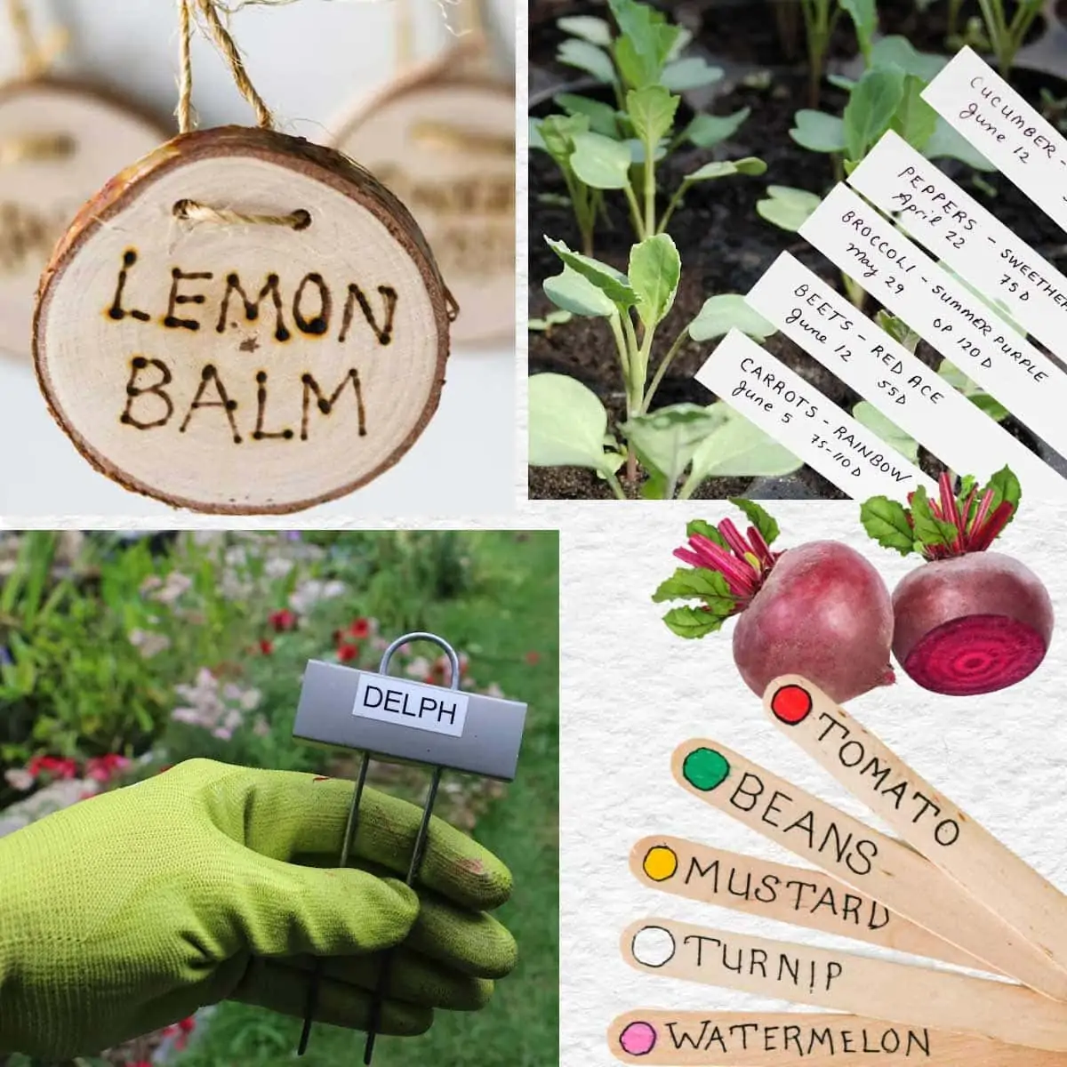 6 Smart Tips for Keeping Organized as a Gardener | Empress of Dirt