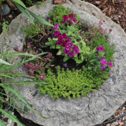 How To Make Hypertufa Pots (Recipe & Step-By-Step Guide)