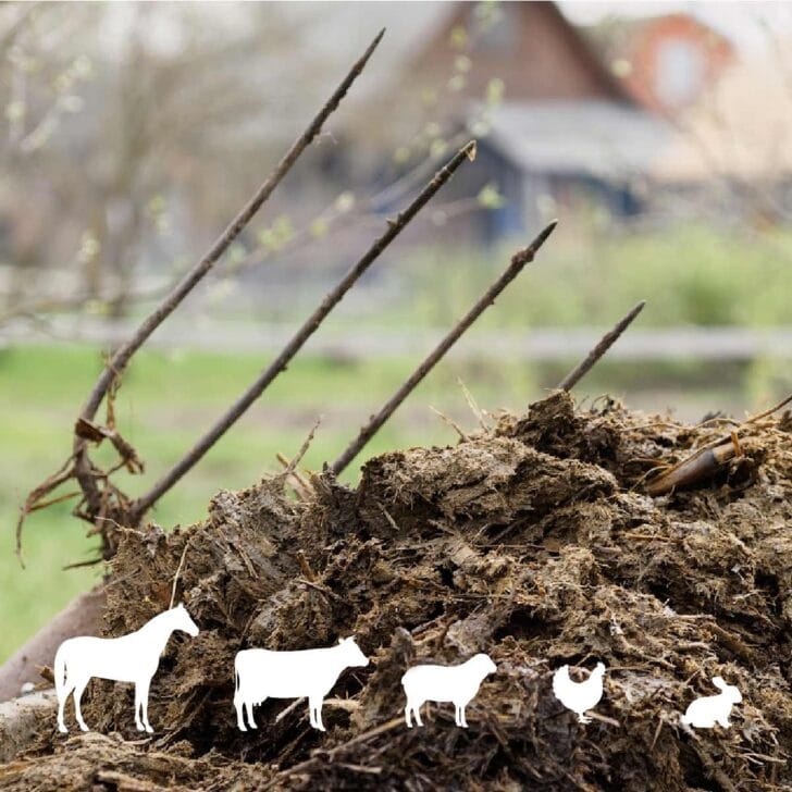 Empress of Dirt | Page 27 of 94 | Creative and Frugal Home & Garden Ideas