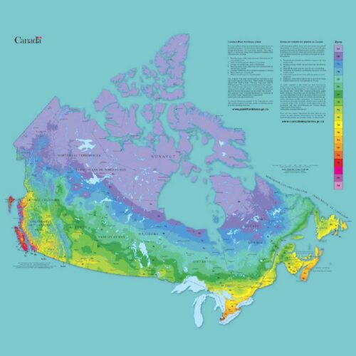 Empress of Dirt | Page 63 of 93 | Creative and Frugal Home & Garden Ideas