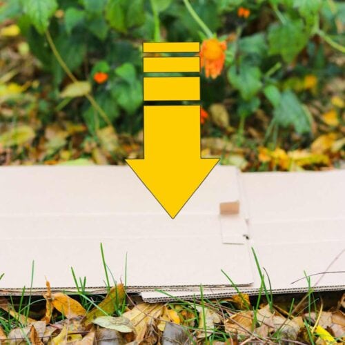 The Cardboard Method For Turning Lawn Into Garden Beds — Empress of Dirt