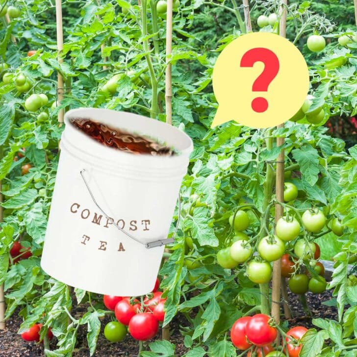 Empress of Dirt | Page 17 of 94 | Creative and Frugal Home & Garden Ideas