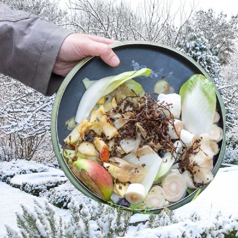 Empress of Dirt | Page 33 of 93 | Creative and Frugal Home & Garden Ideas