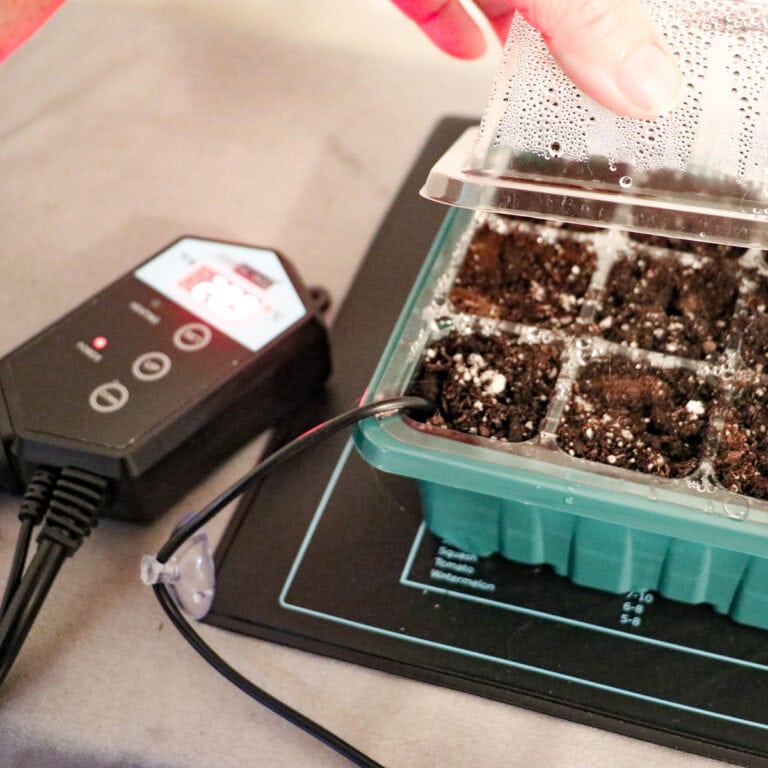 Using Heat Mats For Seed Starting (Pros & Cons) — Empress of Dirt