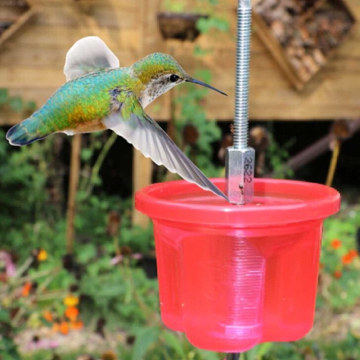 DIY Garden Projects | Page 5 of 17 | Empress of Dirt