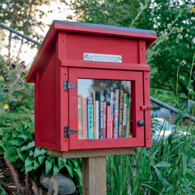 Creative Little Free Library Ideas for Your Neighborhood — Empress of Dirt