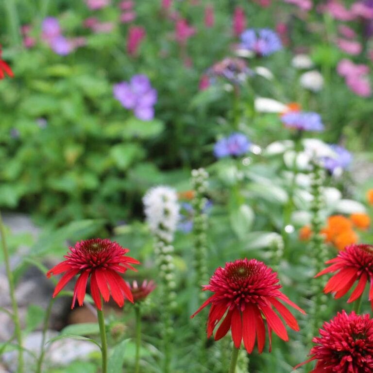 Monty Don on Gardening & Well-Being — Empress of Dirt