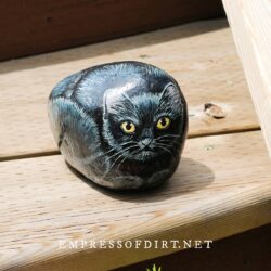 Creative Ways to Hand-Paint Rocks for Your Garden — Empress of Dirt