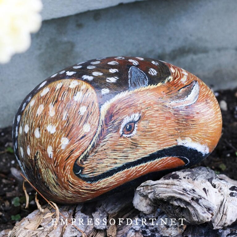 Creative Ways to Hand-Paint Rocks for Your Garden — Empress of Dirt