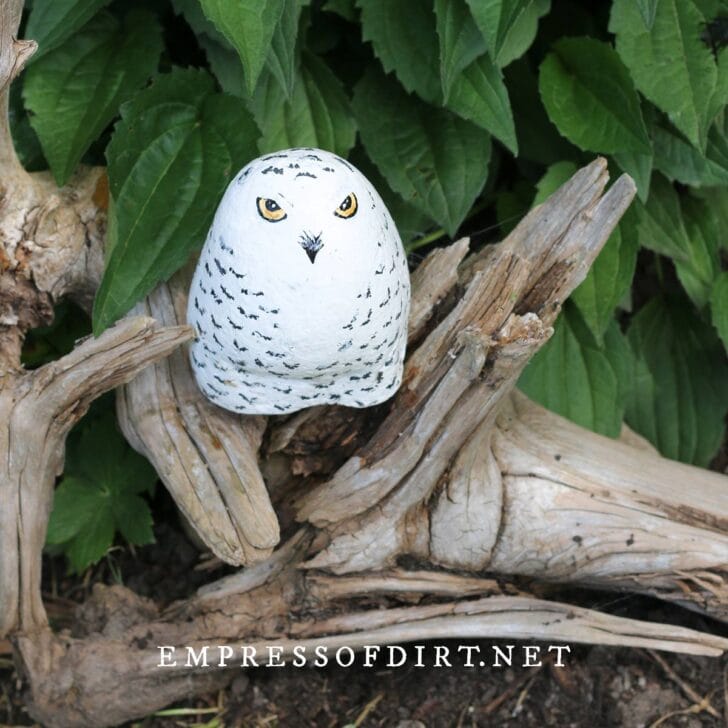 Creative Ways to Hand-Paint Rocks for Your Garden — Empress of Dirt