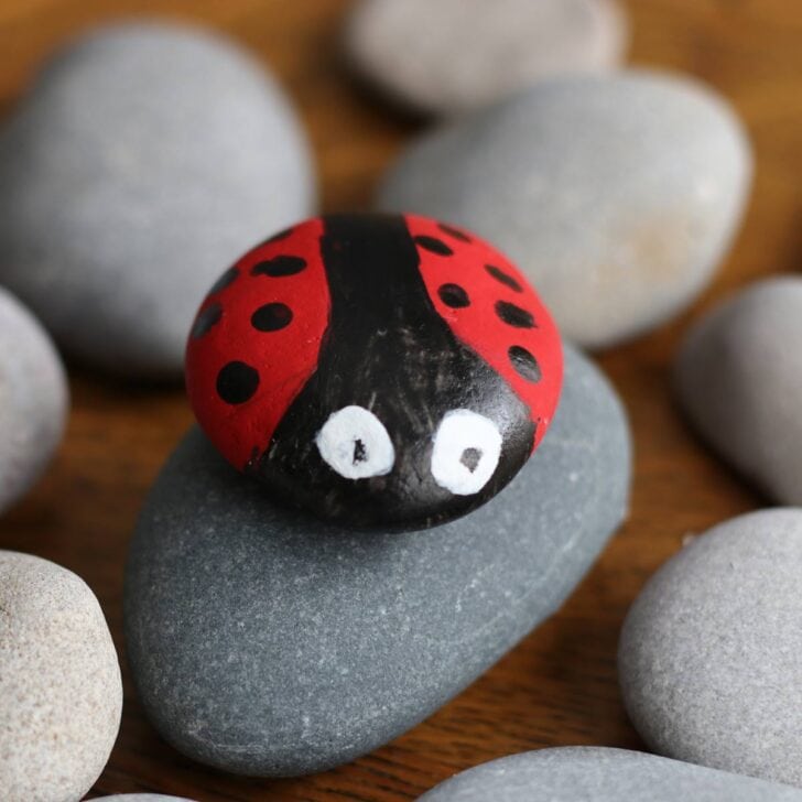 Stone Painting 101: Creative Craft Guide for Beginners