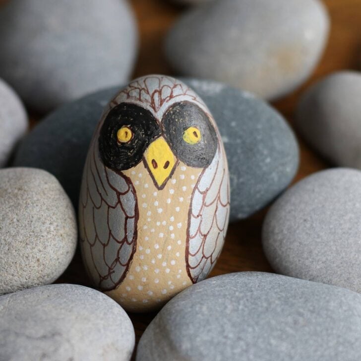 Stone Painting 101: Creative Craft Guide for Beginners