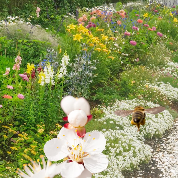 Plant Plant Growing Tips | Page 9 of 19 | Empress of Dirt