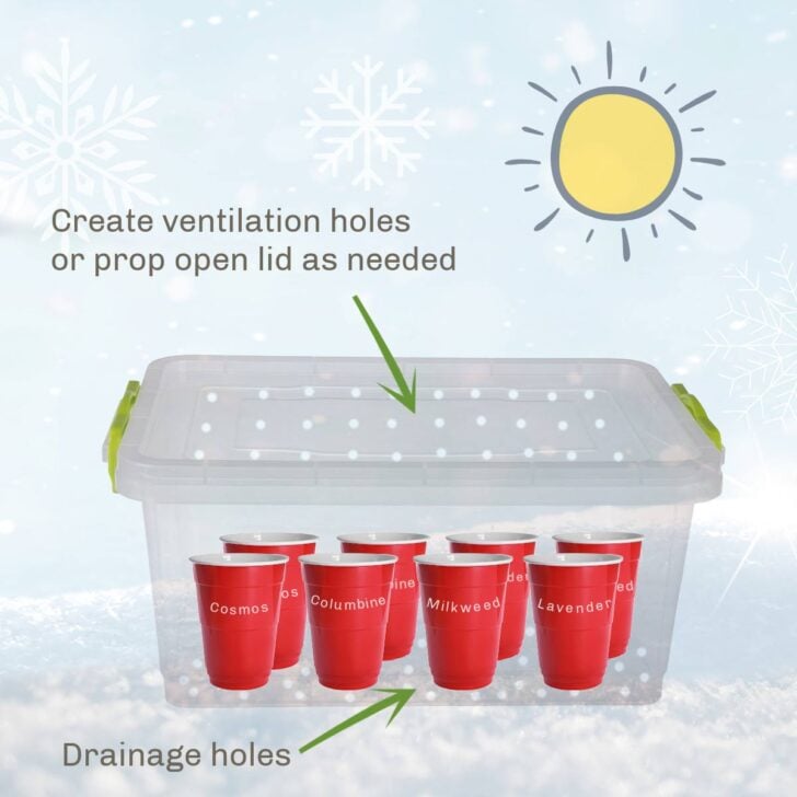 The Complete Guide to Winter Sowing Seeds: Tips & Timing