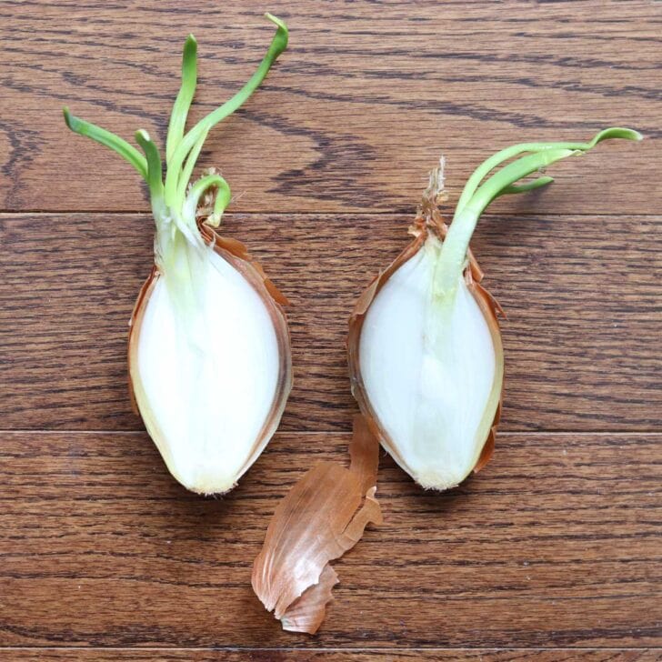 Onion Sprouted in Your Kitchen—Can You Grow It? Or Eat it?