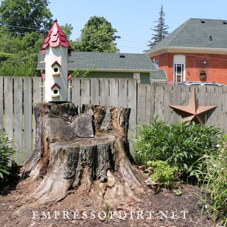 25 Creative Tree Stump Ideas for Backyard Gardens