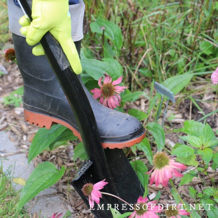 Great Fall Weather? Get These Garden Jobs Done