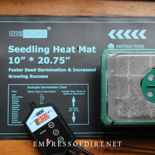 Best Soil Temperatures for Sowing Vegetable Seeds