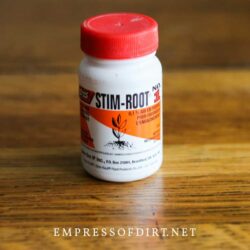 When to Use Rooting Hormone for Plant Propagation