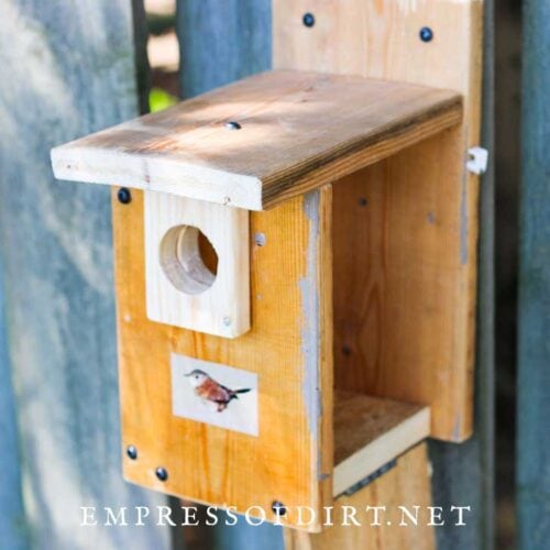 Nesting Boxes Versus Birdhouses: What's Best For Birds
