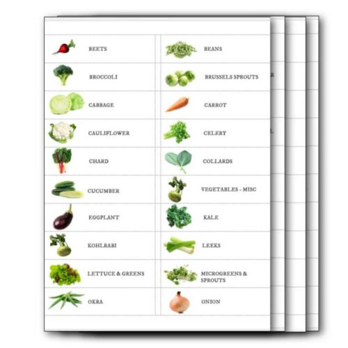 Printable Plant Name Label Files For Organizing Seeds (& More)