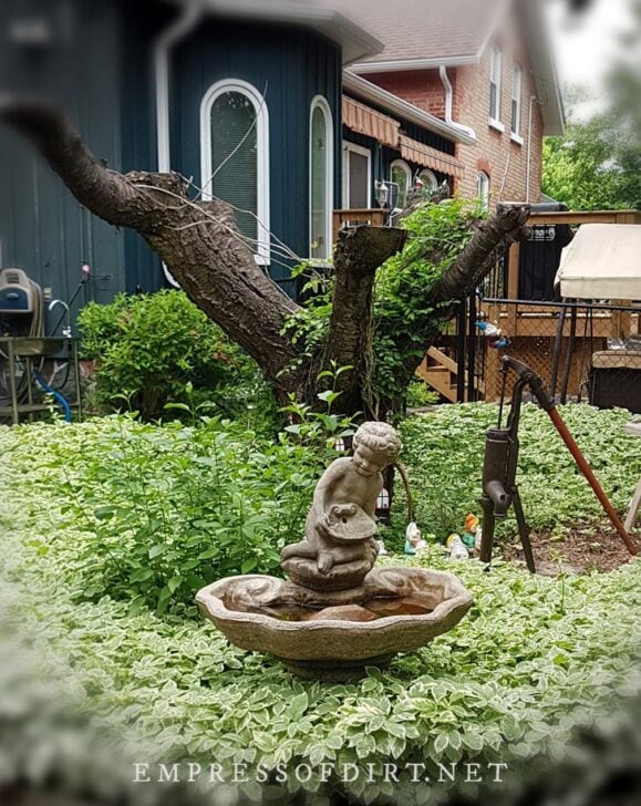 25 Creative Tree Stump Ideas for Backyard Gardens