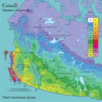 How to Find Your Canadian Plant Hardiness Zone — Empress of Dirt